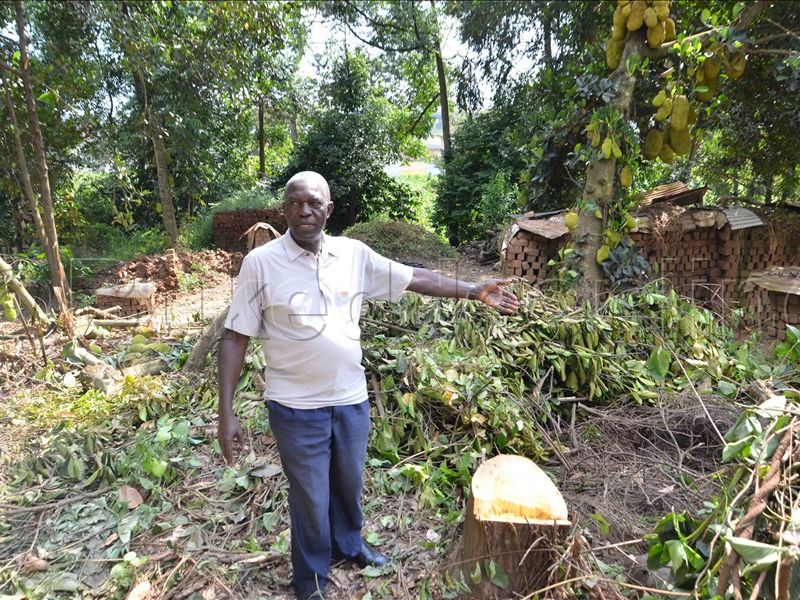 Abanja ekyapa emyaka 40 baagala kumutwalako kibanja kye - Bukedde ...
