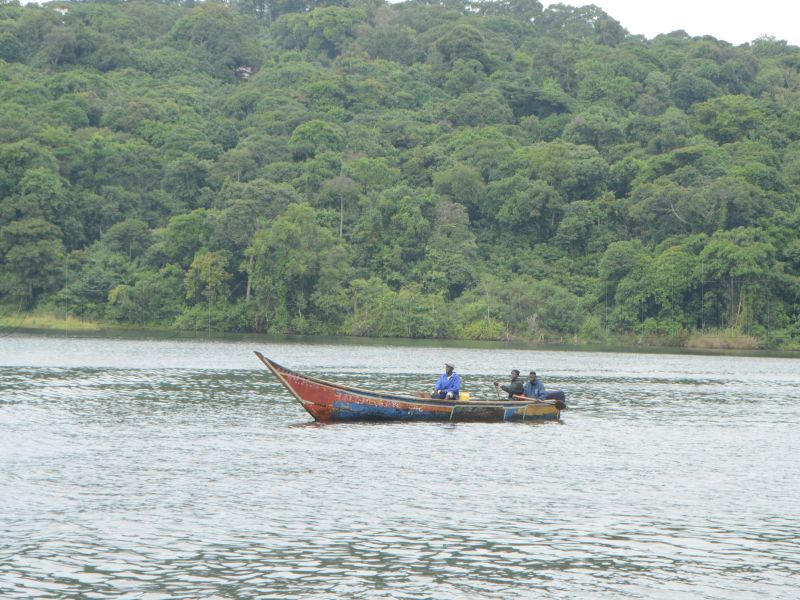 Abavubi abaakwasizza omusota ekika kya ttimba nga balowooza mpuuta e ...